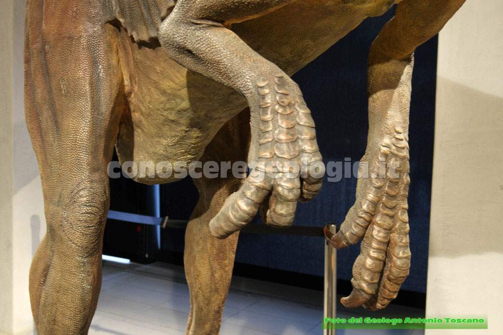 Dinosauri in mostra a Padova - FOTOGALLERY CONOSCEREGEOLOGIA ...
