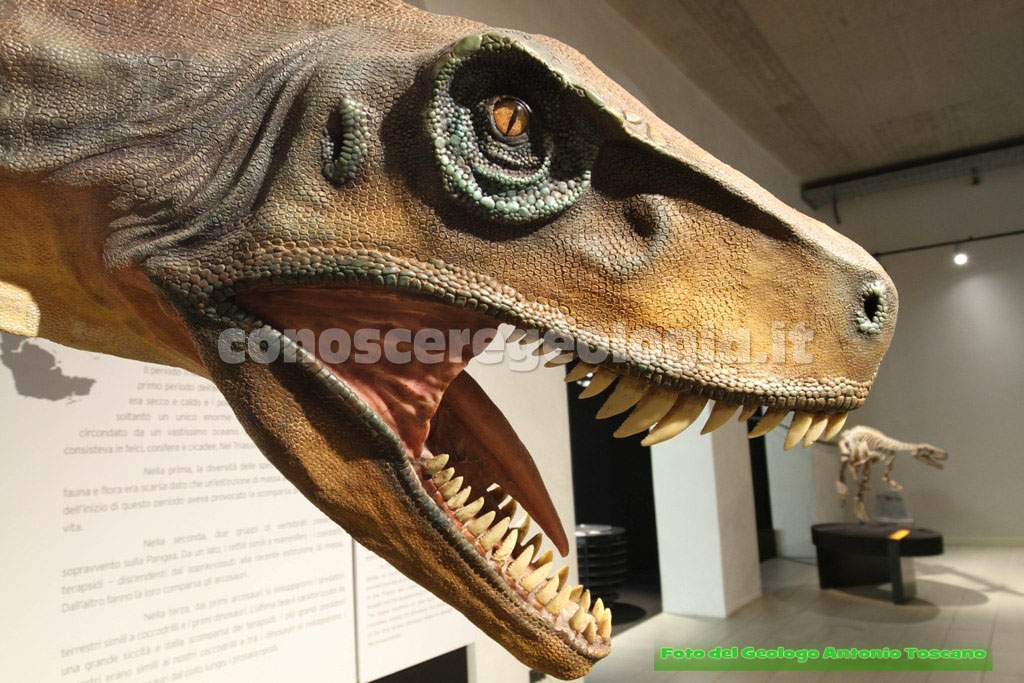Dinosauri in mostra a Padova - FOTOGALLERY CONOSCEREGEOLOGIA ...